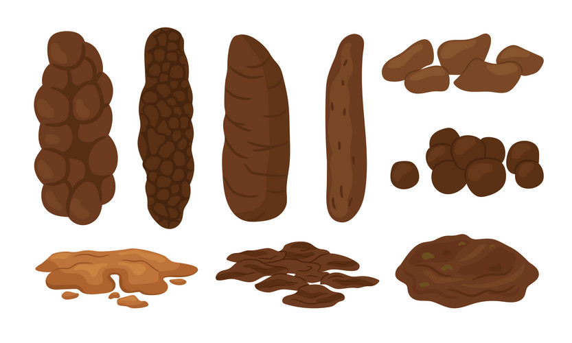 Bristol Stool Form Scale With Faeces Type Images. Vector Of Measurement ...