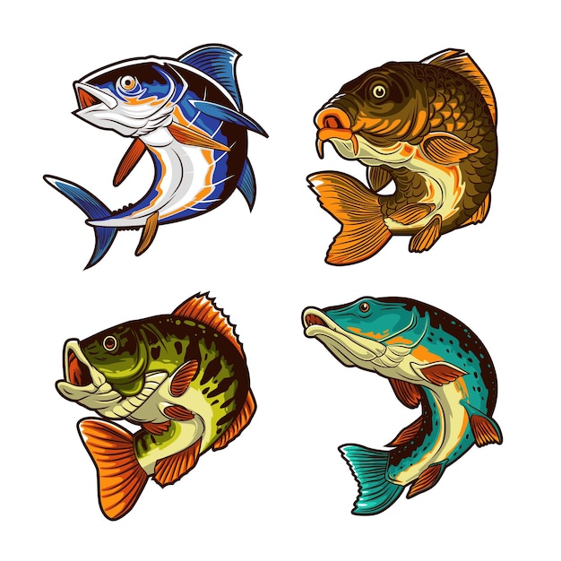 Vibrant Collection of Diverse Freshwater Fish Illustrations | Jiffy Designs