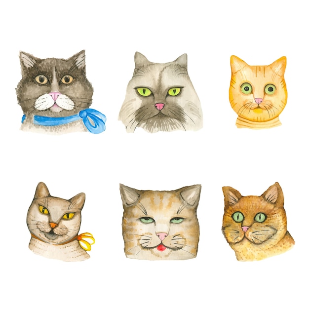 Charming Feline Portraits: A Whimsical Collection of Cat Faces | Jiffy ...