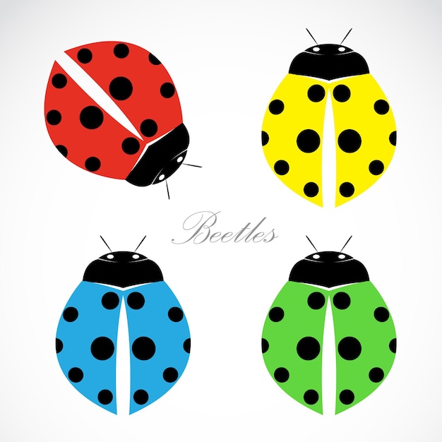 Vibrant Ladybug Illustrations in Contrasting Colors and Patterns ...