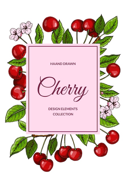 Vibrant Cherry Design Elements Collection | Jiffy Designs