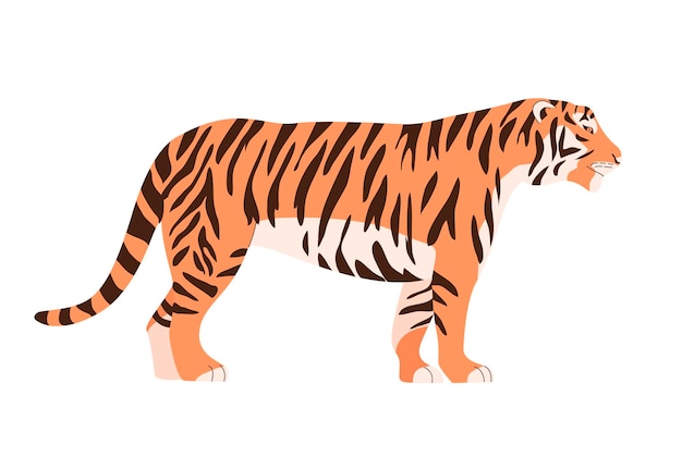 Majestic Tiger Stalking Gracefully Through the Jungle | Jiffy Designs