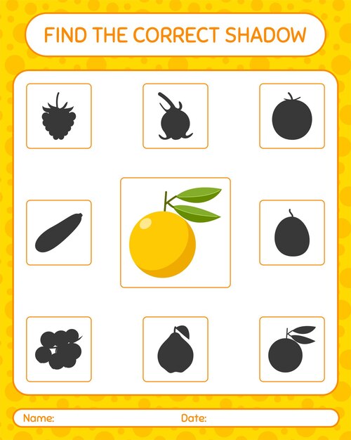 Vibrant Fruit Silhouettes: A Fun Shadow Matching Game | Jiffy Designs