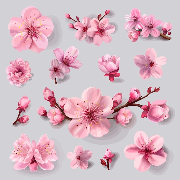 Delicate Collection of Vibrant Pink Cherry Blossom Flowers | Jiffy Designs