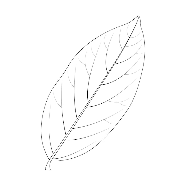 Elegant Leaf Outline in Minimalist Design | Jiffy Designs