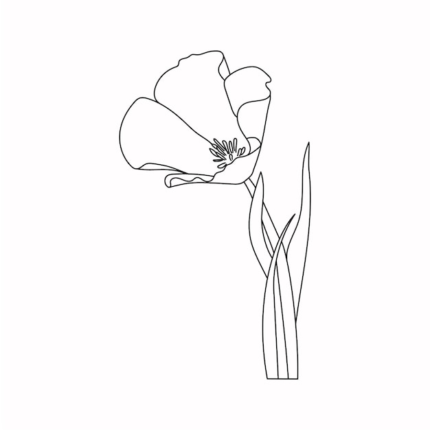 Minimalist Outline Drawing of a Delicate Flower | Jiffy Designs
