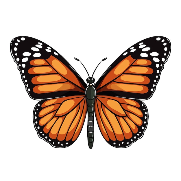 Vibrant Monarch Butterfly with Intricate Wing Patterns | Jiffy Designs