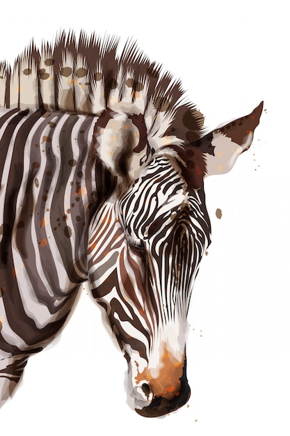 Striking Zebra Portrait with Bold Stripes and Expressive Eyes | Jiffy ...