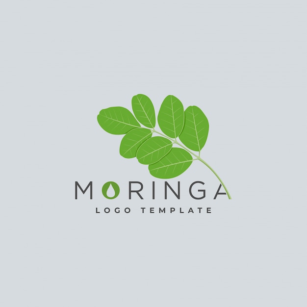 Vibrant Moringa Leaves Logo with Minimalist Elegance | Jiffy Designs