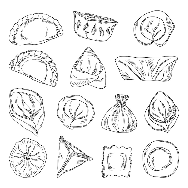Delightful Dumplings: A Culinary Sketch of Savory Shapes | Jiffy Designs