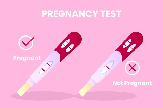 Vibrant Pregnancy Test Reveals Positive Result | Jiffy Designs