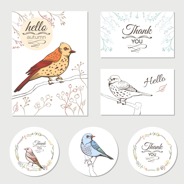 Charming Bird Illustrations with Handwritten Greetings and Nature ...