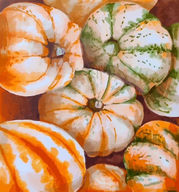 Vibrant Autumn Gourds in Warm Hues and Textures | Jiffy Designs