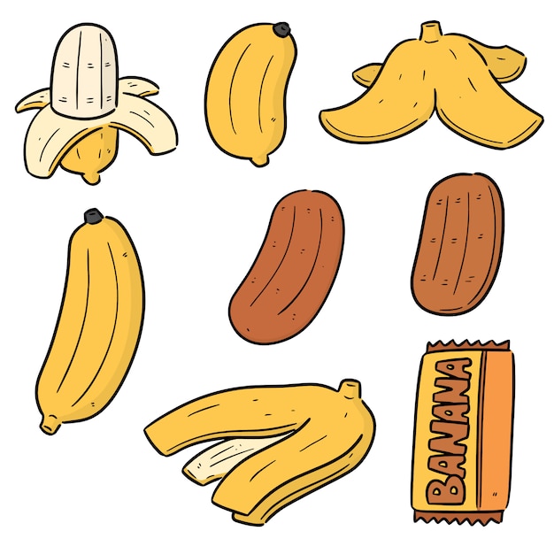 Vibrant Banana Collection: Diverse Shapes and Varieties | Jiffy Designs