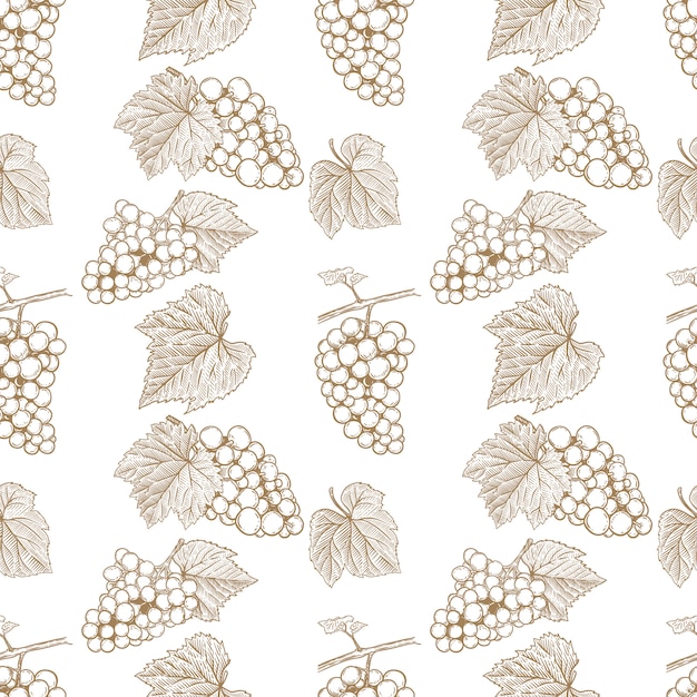 Elegant Grape Cluster Illustration in Neutral Tones | Jiffy Designs