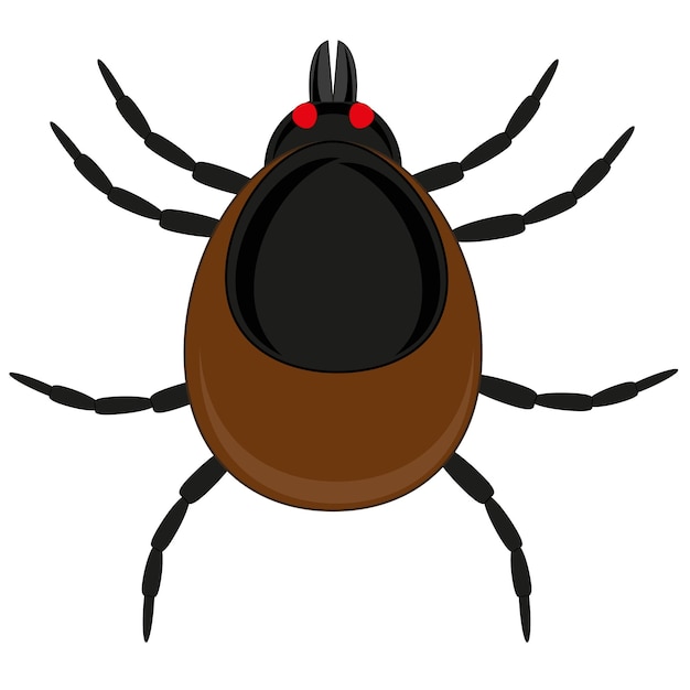 Stylized Brown and Black Tick Vector Illustration | Jiffy Designs