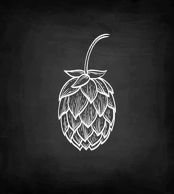 Elegant Monochrome Hop Flower Illustration | Jiffy Designs