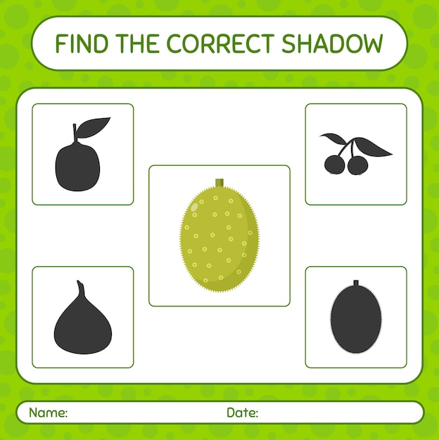 Matching Fruit Shadows: A Fun Guessing Game | Jiffy Designs