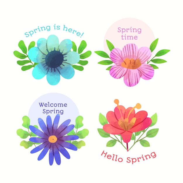 Vibrant Spring Floral Graphics with Cheerful Messages | Jiffy Designs