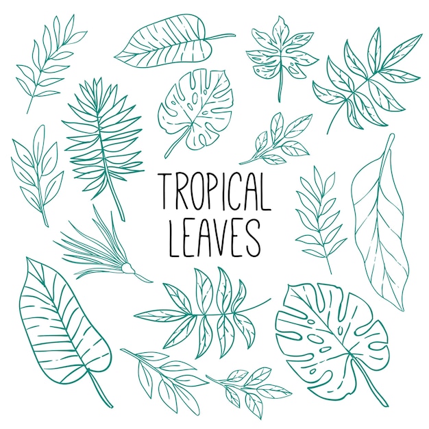 Tropical Leaves Illustration with Delicate Linework | Jiffy Designs