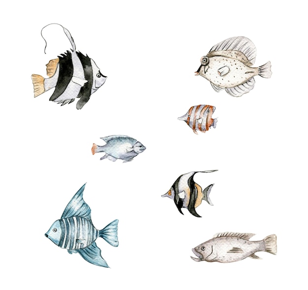 Vibrant Underwater Aquatic Life Collection of Tropical Fish | Jiffy Designs