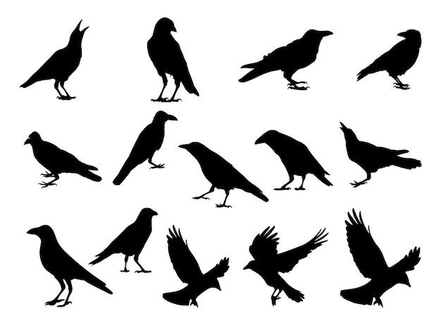 Raven Silhouettes: A Captivating Flock of Mystical Avians | Jiffy Designs