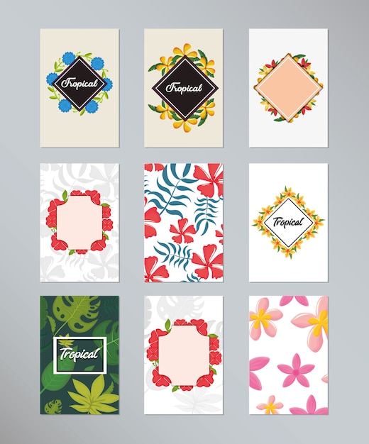 Vibrant Tropical Themed Frames and Designs Collection | Jiffy Designs