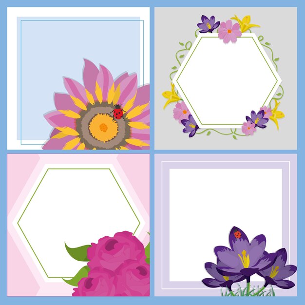 Vibrant Floral Frames for Versatile Design Usage | Jiffy Designs