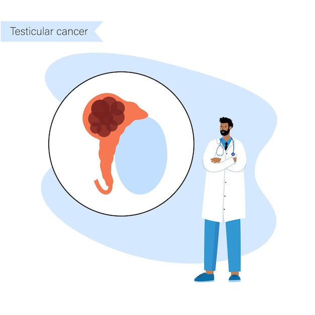 Detailed Medical Illustration of Testicular Cancer | Jiffy Designs