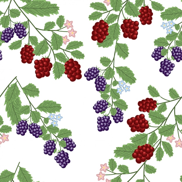 Lush Grape and Raspberry Vine Pattern | Jiffy Designs