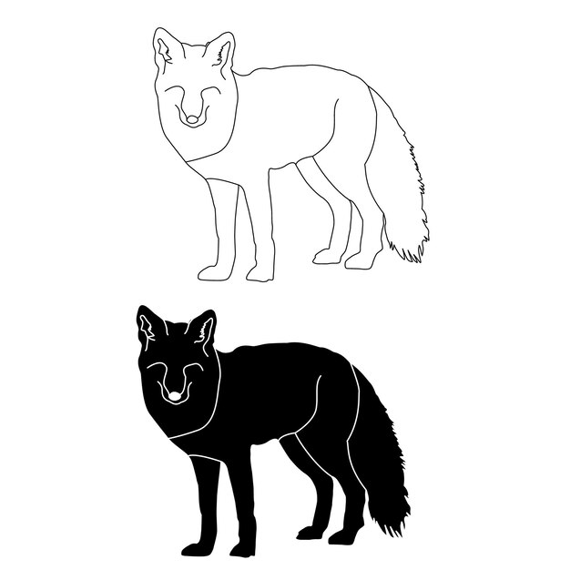 Graceful Foxes in Monochrome: Elegant Silhouettes Amid Shadows | Jiffy ...