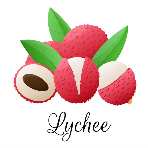 Vibrant Lychee Fruit with Leaves Illustration | Jiffy Designs