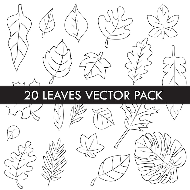 Diverse Collection of 20 Elegant Leaf Designs | Jiffy Designs