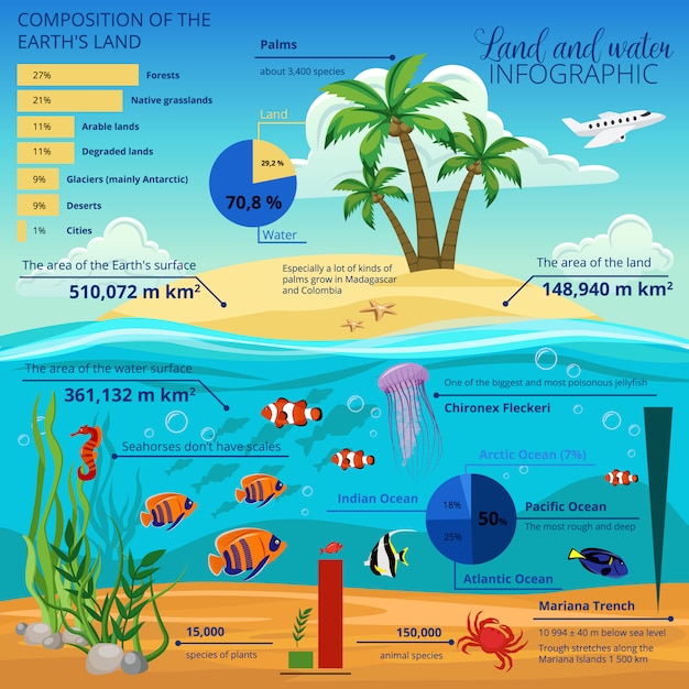 Vibrant Tropical Landscape and Underwater Infographic | Jiffy Designs