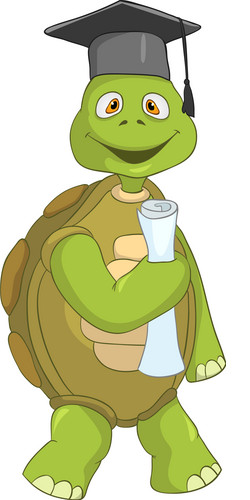 Funny Turtle. Student. | Jiffy Designs