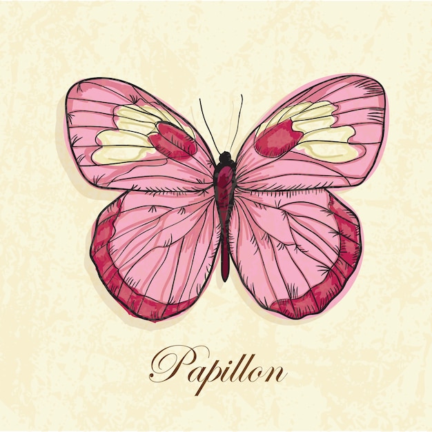 Vintage Pink Butterfly Illustration with Papillon Text | Jiffy Designs