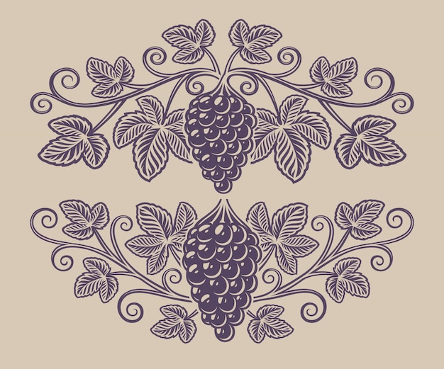 Elegant Grape Vine Ornamental Design | Jiffy Designs