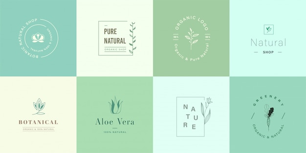 Minimalist Natural Botanical Logos and Graphics Collection | Jiffy Designs