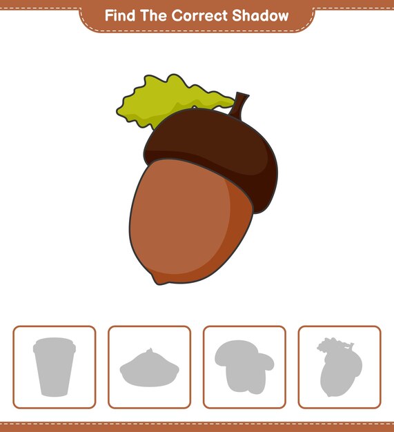 Vibrant Acorn Illustration with Detailed Textures | Jiffy Designs