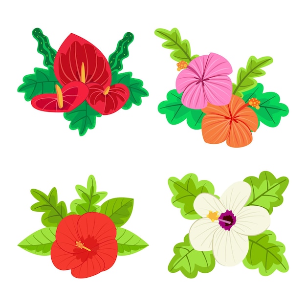 Vibrant Tropical Flower Collection in Diverse Hues | Jiffy Designs