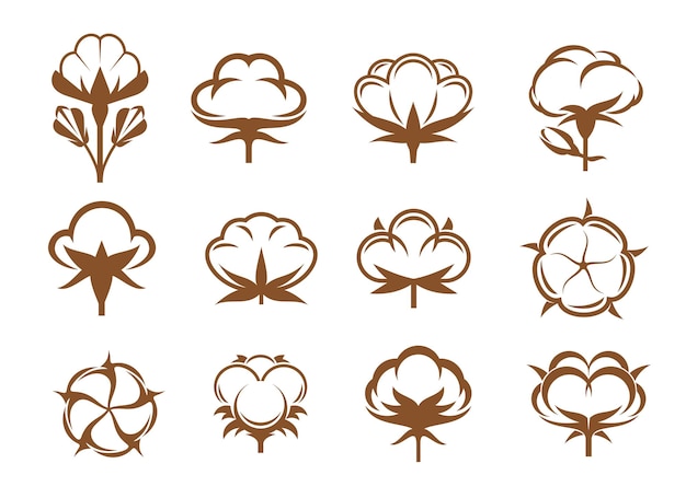 Diverse Cotton Boll Illustrations for Versatile Design Applications ...