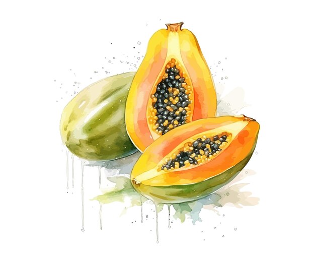 Vibrant Papaya Slices with Juicy Texture | Jiffy Designs