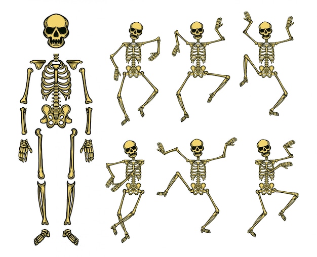 Lively Skeletal Dance: Whimsical Illustrations of Animated Skeletons ...
