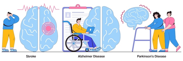 Exploring the Complexities of the Human Brain: From Stroke to ...