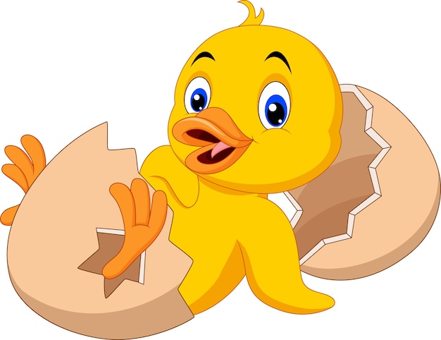 Cute Yellow Duckling Hatching from Cracked Egg Shell | Jiffy Designs