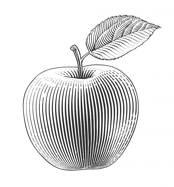 Elegant Monochrome Apple with Intricate Leaf Detail | Jiffy Designs