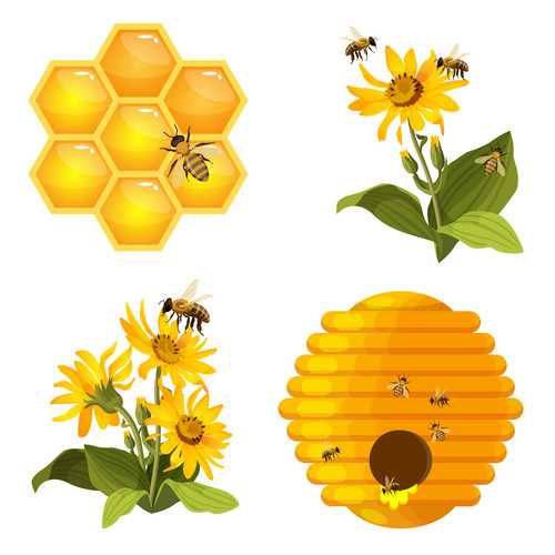 Bee On Honeycomb, Beehive Nest, Bees On Yellow Field Flowers Set ...