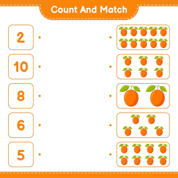 Vibrant Citrus Fruit Counting and Matching | Jiffy Designs