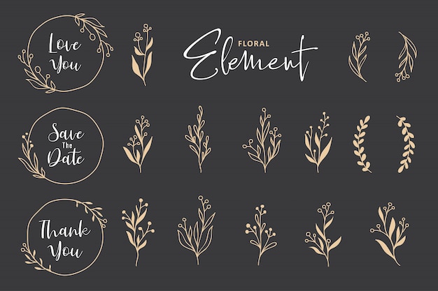 Elegant Floral Elements Collection with Handwritten Text Overlays ...