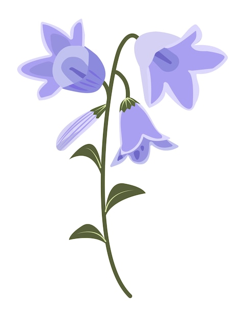 Elegant Purple Bluebell Flower Illustration | Jiffy Designs